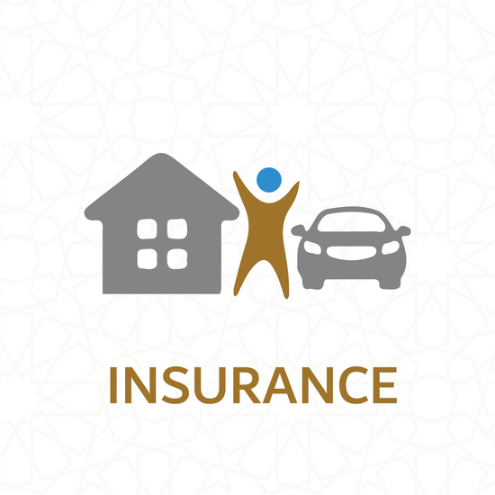 Online Government Transaction Processing – Self Tasheel